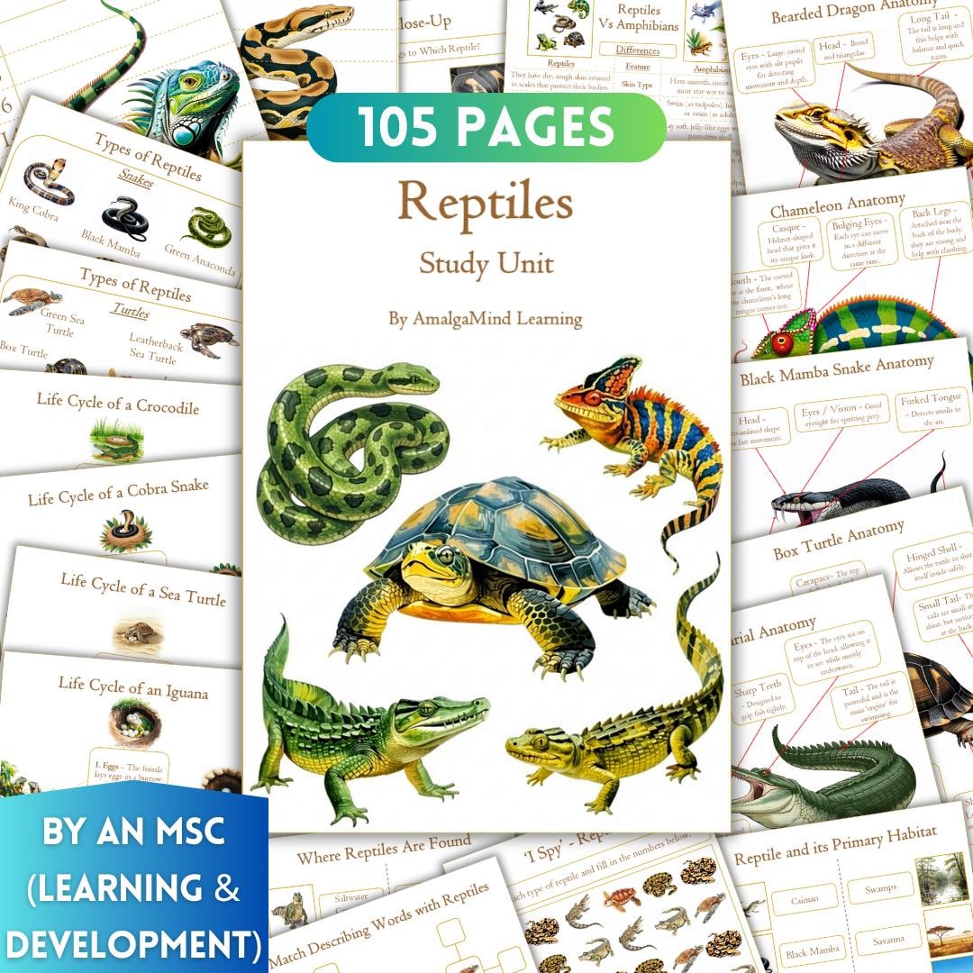 Reptiles Unit Study | Printable Worksheets | Crocodile Turtle Snake ...