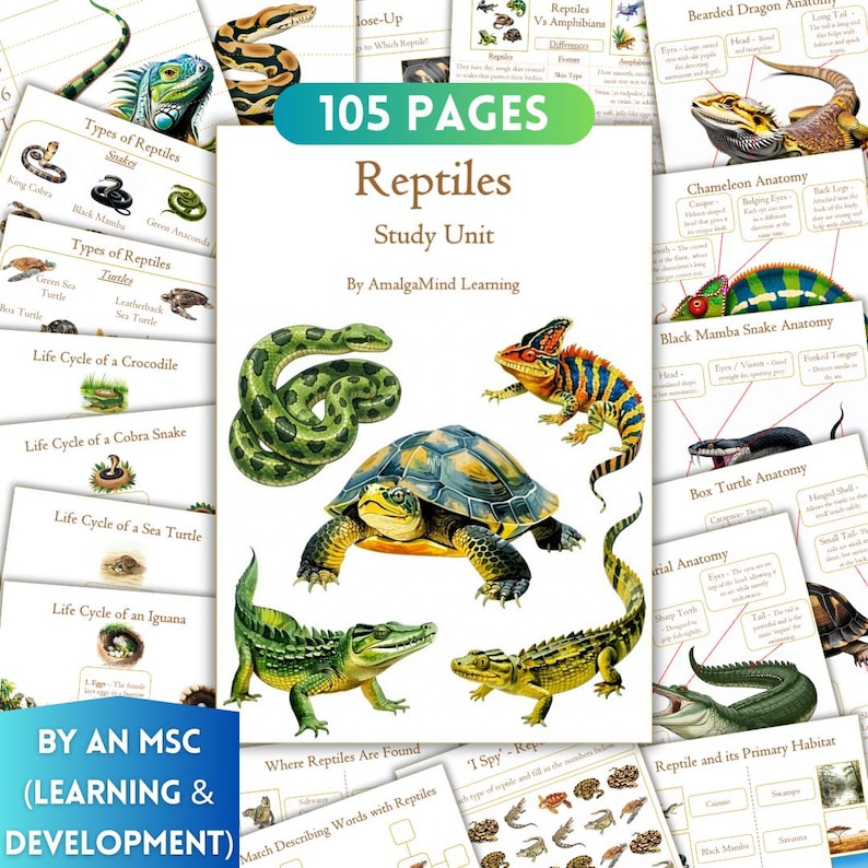 Reptiles Unit Study | Printable Worksheets | Crocodile Turtle Snake ...