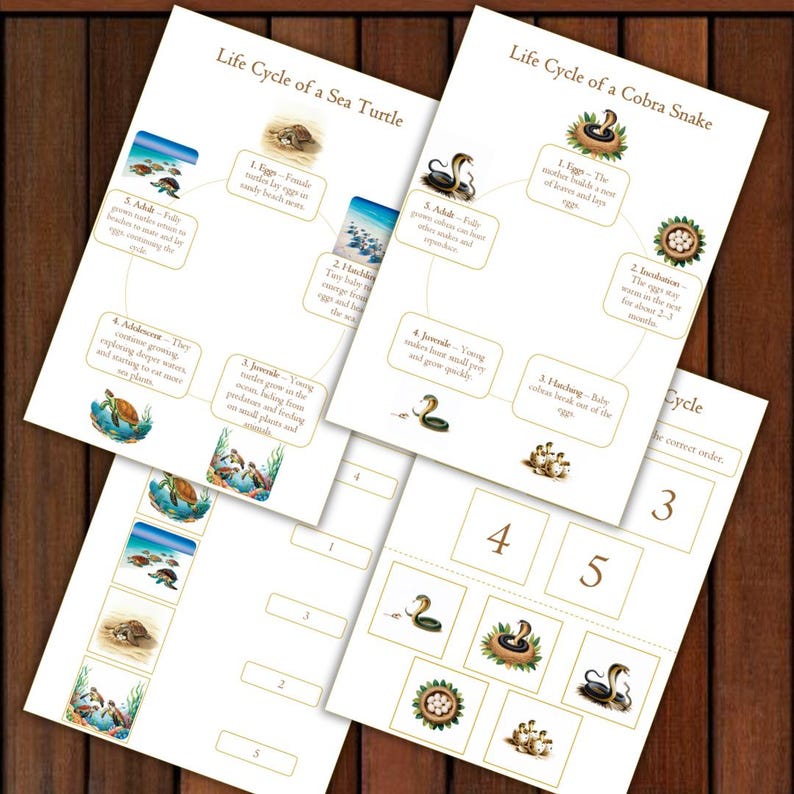 Reptiles Unit Study | Printable Activities | Crocodile Turtle Snake ...