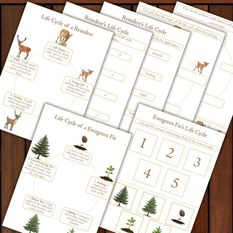 Winter Solstice Unit Study, Symbols, Snowflakes, Constellations ...