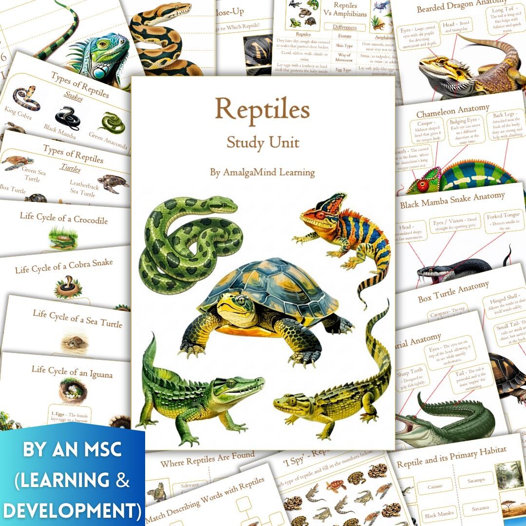 Reptiles Unit Study | Printable Activities | Crocodile Turtle Snake ...