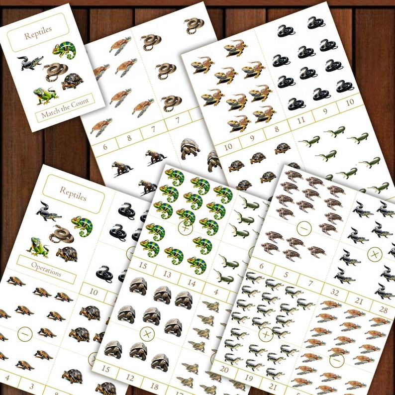 Reptiles Unit Study | Printable Worksheets | Crocodile Turtle Snake ...