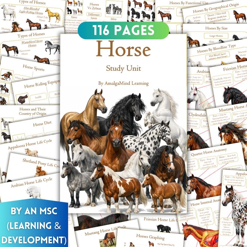 Horse Color Worksheet - Etsy