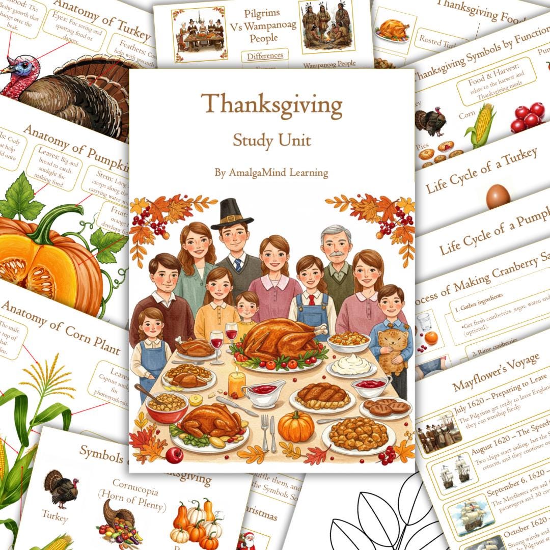 Thanksgiving Study Unit | Pilgrims Wampanoag | Turkey, Pumpkin, Corn ...