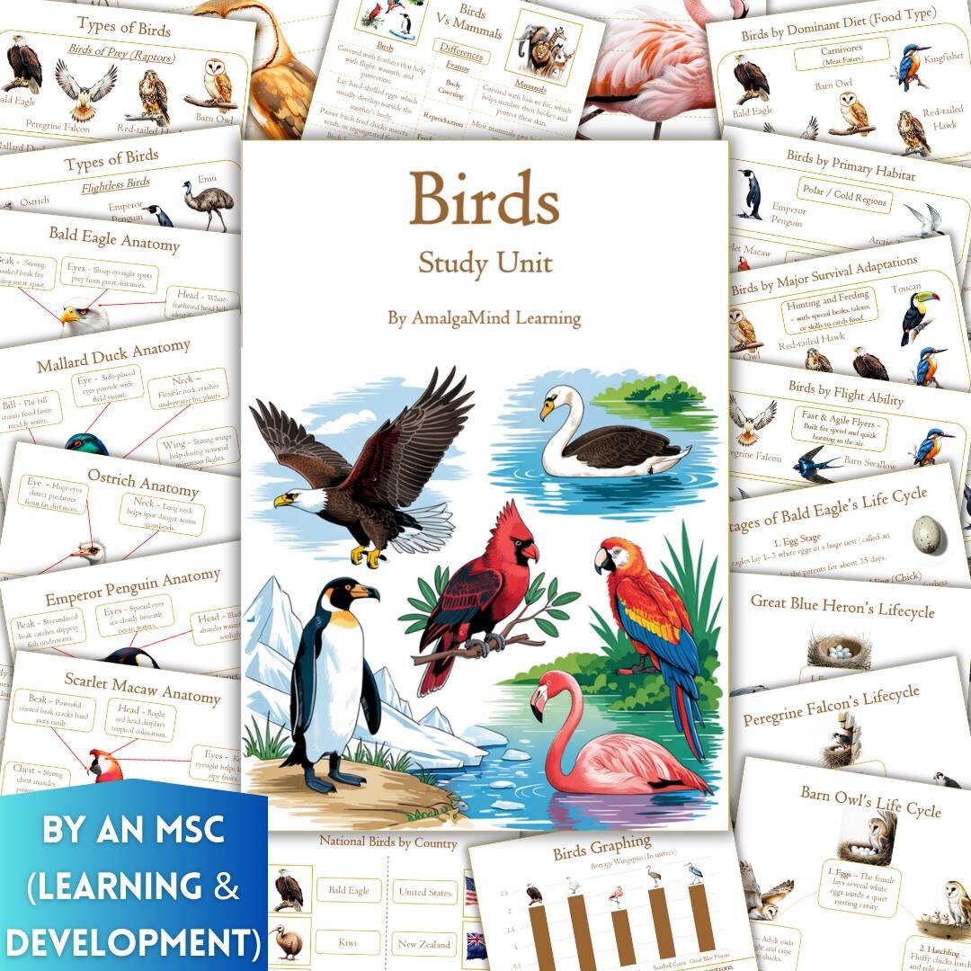 Birds Unit Study Printable, Montessori Homeschool Worksheets, Eagle ...