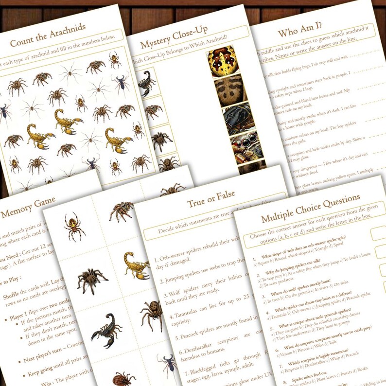 Arachnids Unit Study Worksheets: Spiders, Scorpions, Anatomy, Life ...
