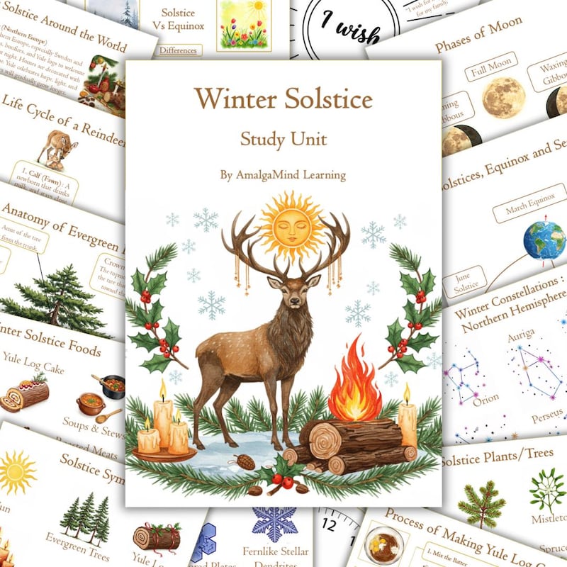 Winter Unit Study Science - Etsy UK
