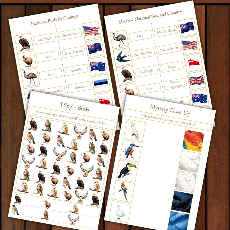 Birds Unit Study Printable, Montessori Homeschool Worksheets, Eagle ...