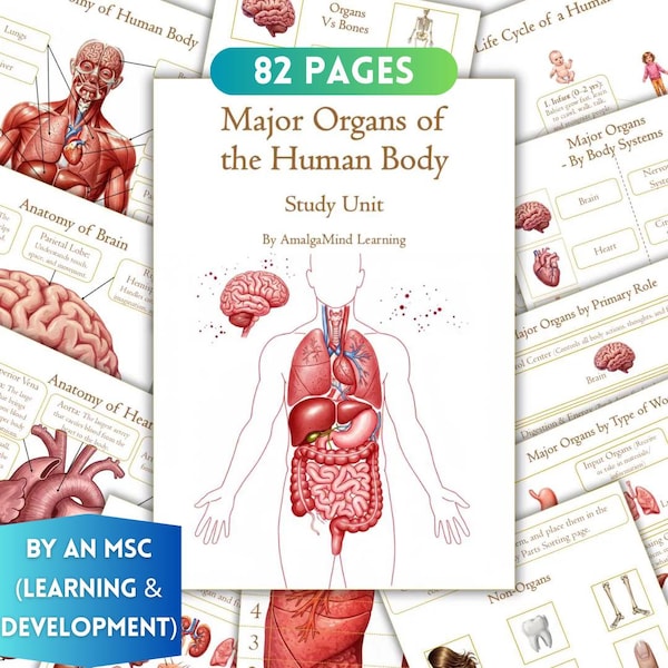 Human Body Unit Study - Etsy