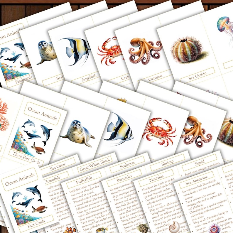 Ocean Animals, Sea Animals Unit Study Printable, Montessori Homeschool ...