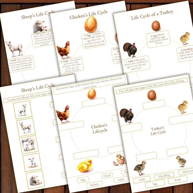 Farm Animals Unit Study Printable, Montessori Homeschool, Farm Unit ...
