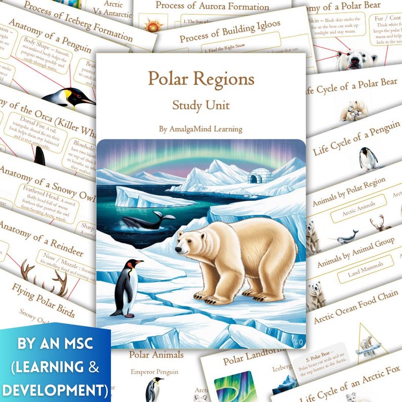 Polar Regions Arctic, Antarctic Unit Study, Polar Animals, Polar Bear ...