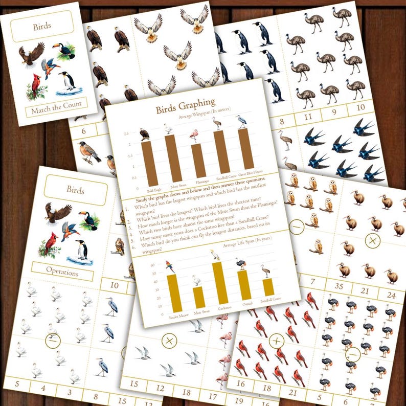 Birds Unit Study Printable, Montessori Homeschool Worksheets, Eagle ...