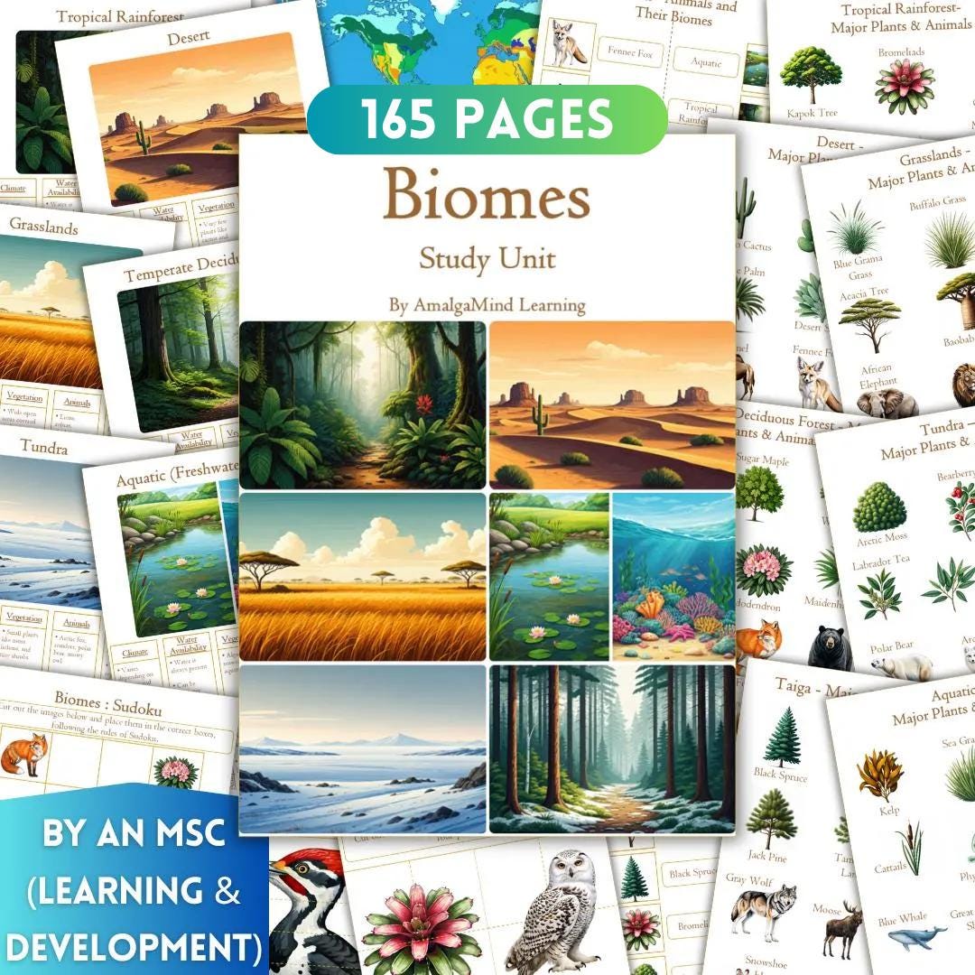 Biomes Unit Study Printable, Homeschool Worksheets, Tropical Rainforest ...
