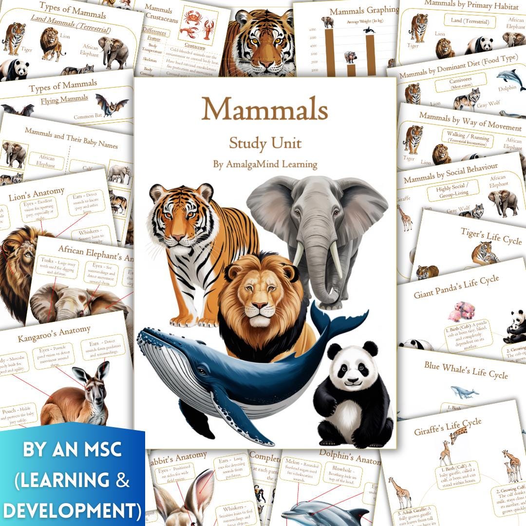 Mammals Unit Study Printable | Animal Worksheets Kids | Montessori 3 ...