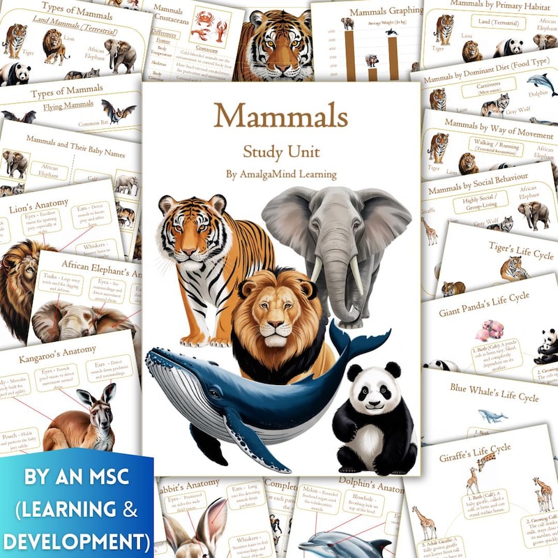 Mammal Babies Unit - Etsy