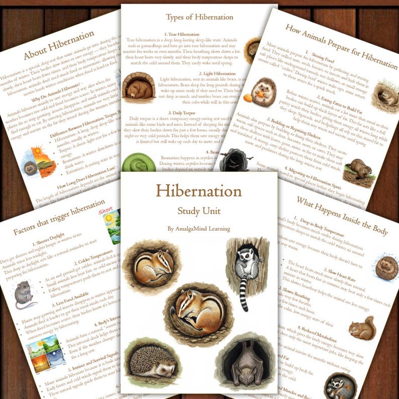 Hibernation Study Unit | Winter Animals, Winter Sleep, Anatomy, Nature ...