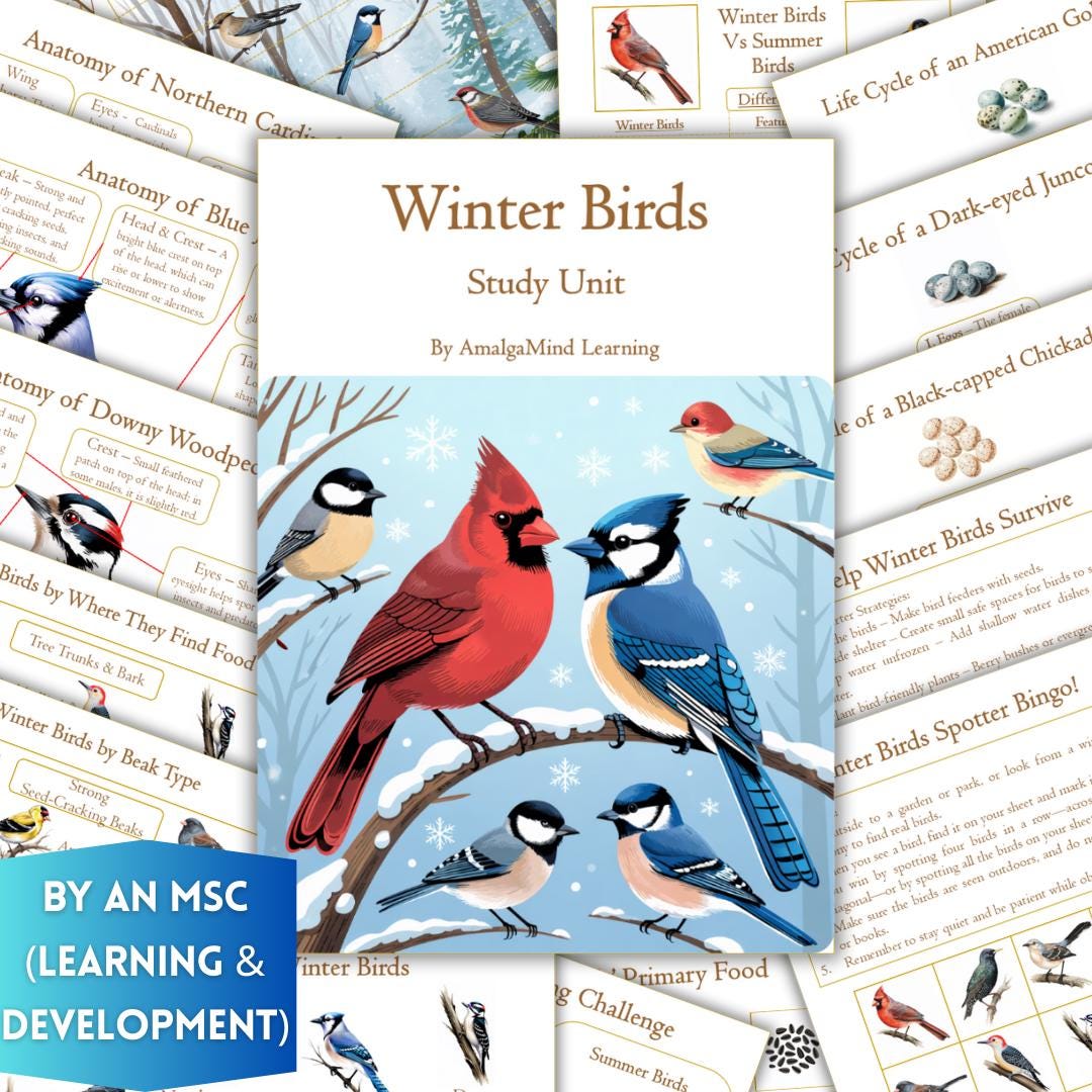 Winter Birds Unit Study, Montessori Nature, Winter Science, Homeschool ...