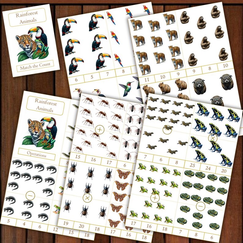 Rainforest Animals Unit Study Printable | Montessori Homeschool ...