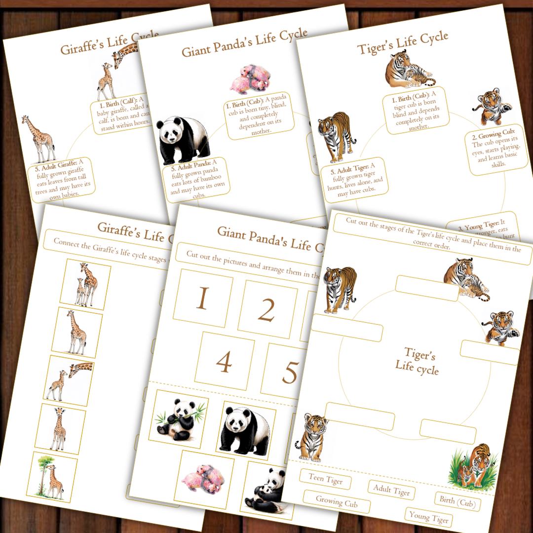Mammals Unit Study Worksheets | Kids Printable| Montessori 3-part Cards ...