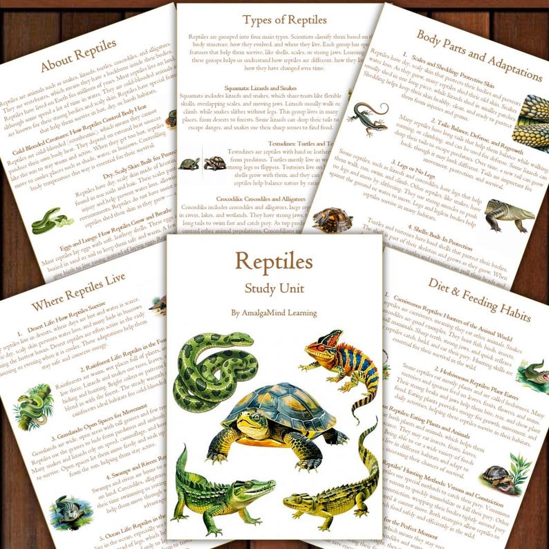 Reptiles Unit Study | Printable Worksheets | Crocodile Turtle Snake ...