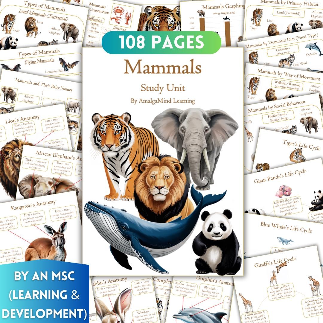 Mammals Unit Study Worksheets | Kids Printable| Montessori 3-part Cards ...