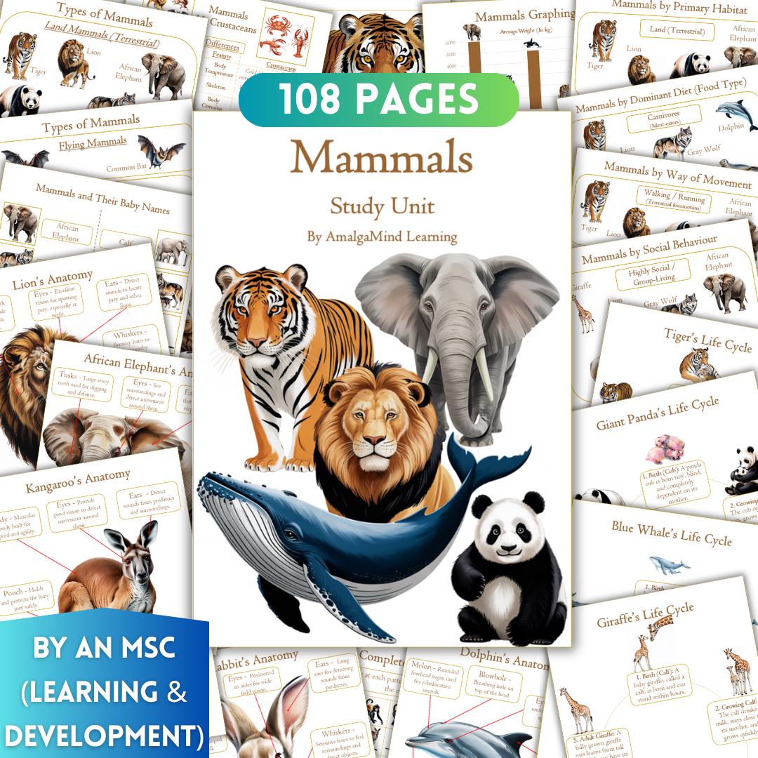 Mammals Unit Study Worksheets | Kids Printable| Montessori 3-part Cards ...