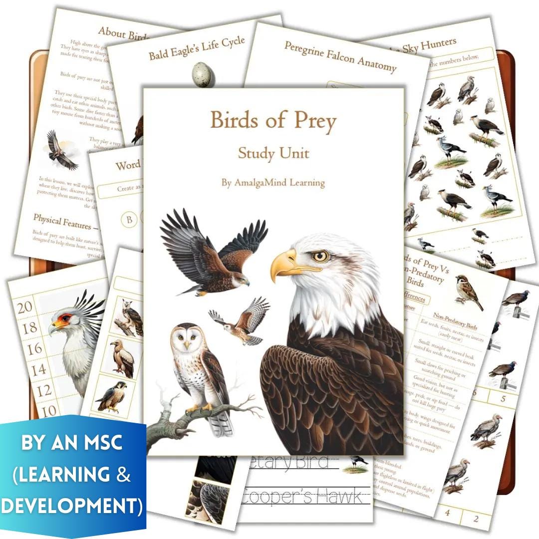 Birds of Prey Unit Study: Homeschool Science, Anatomy, Owl, Life Cycle ...