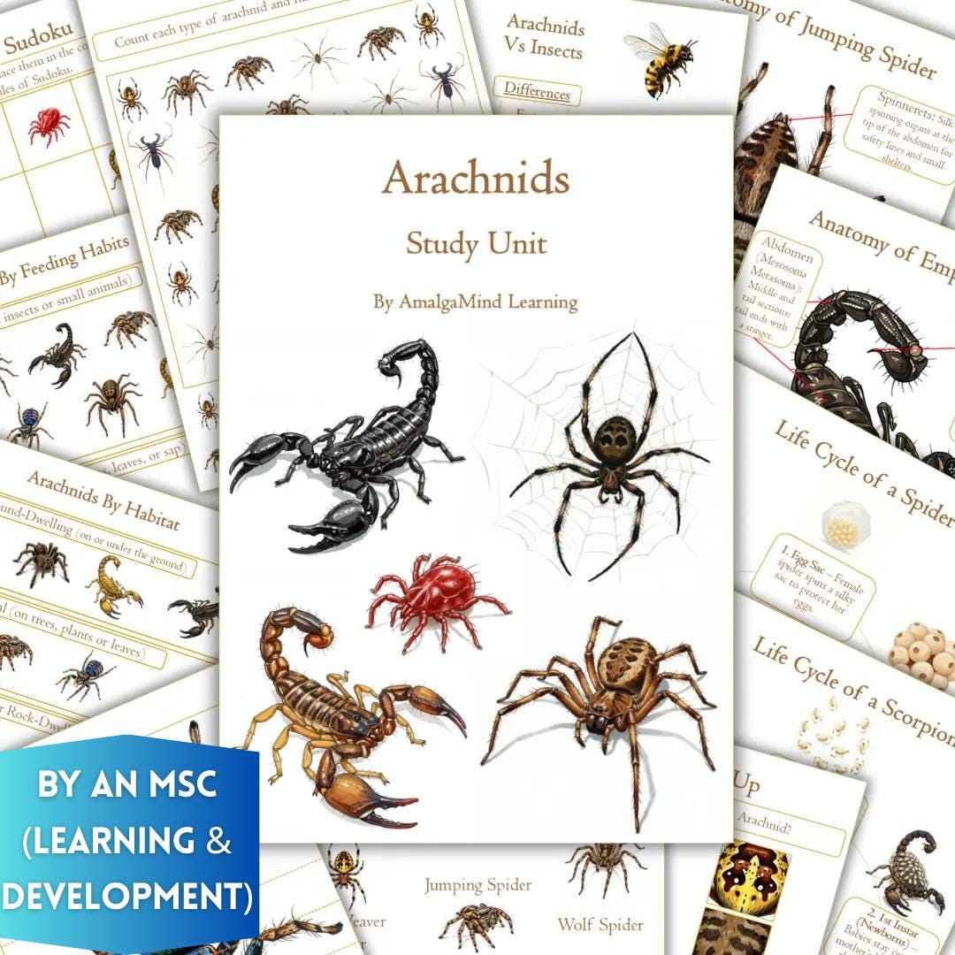 Arachnids Unit Study Worksheets: Spiders, Scorpions, Anatomy, Life ...