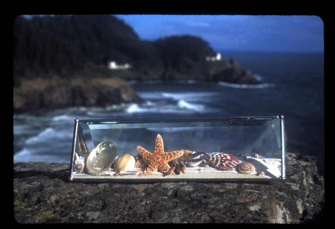 Seascape (3x10 Inch Rectangle) Ocean Office and Home Decor, Seashells ...