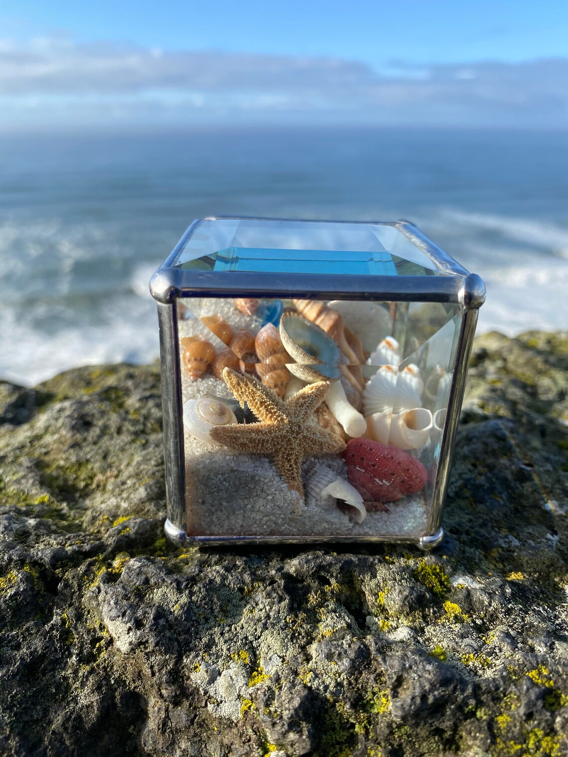 Seascape 3 Inch Cube Ocean Office and Home Decor, Seashells, Beveled ...