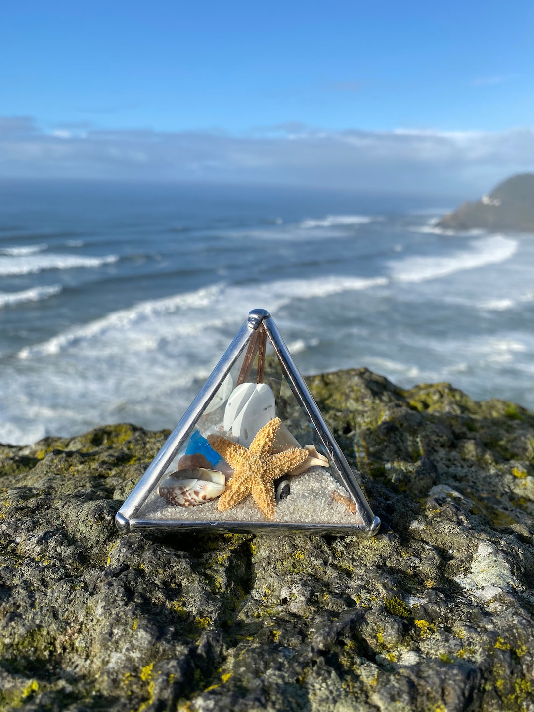 Seascape (3 Inch Triangle) Ocean Office and Home Decor, Seashells ...
