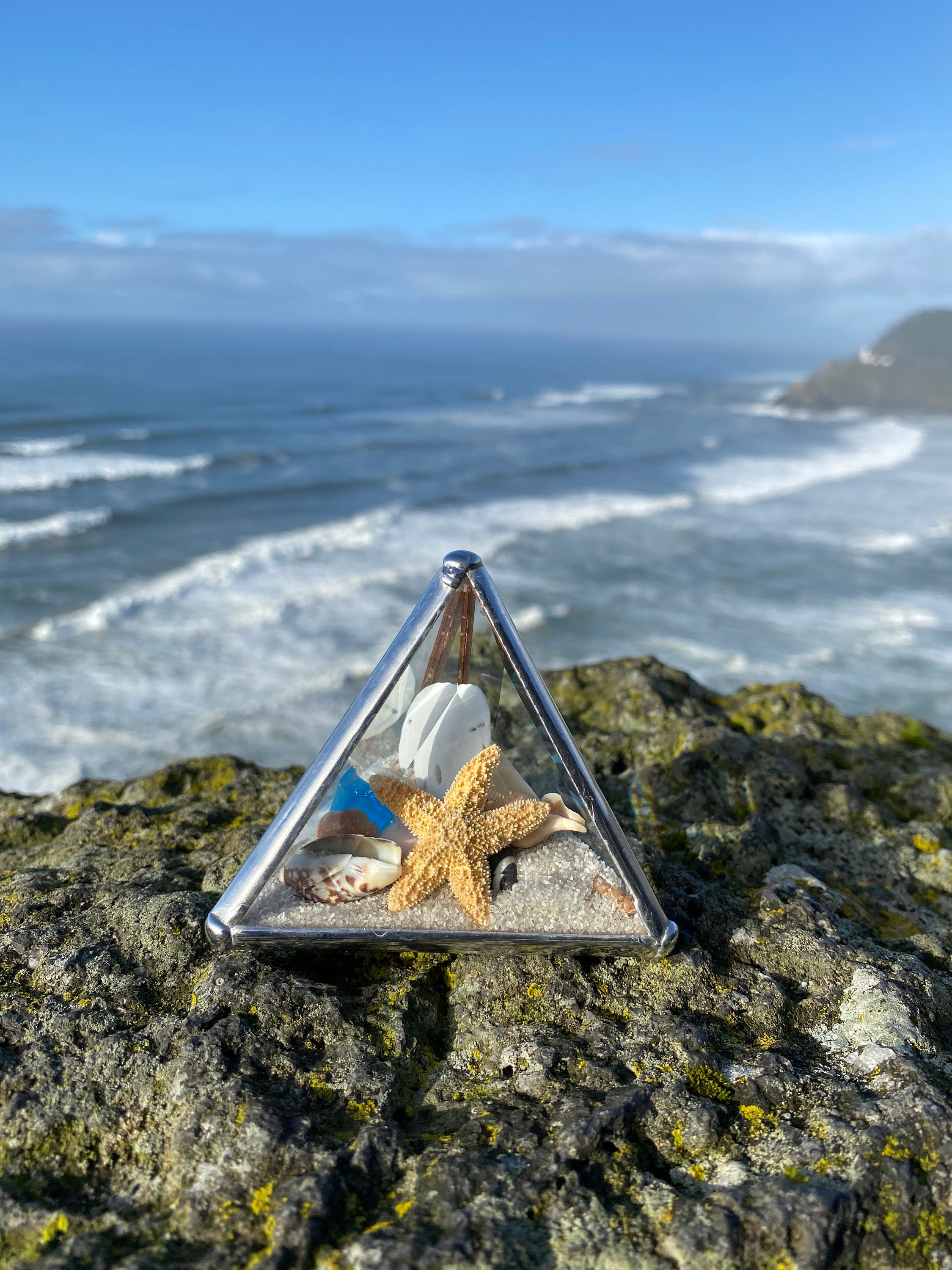 Seascape (3 Inch Triangle) Ocean Office and Home Decor, Seashells ...
