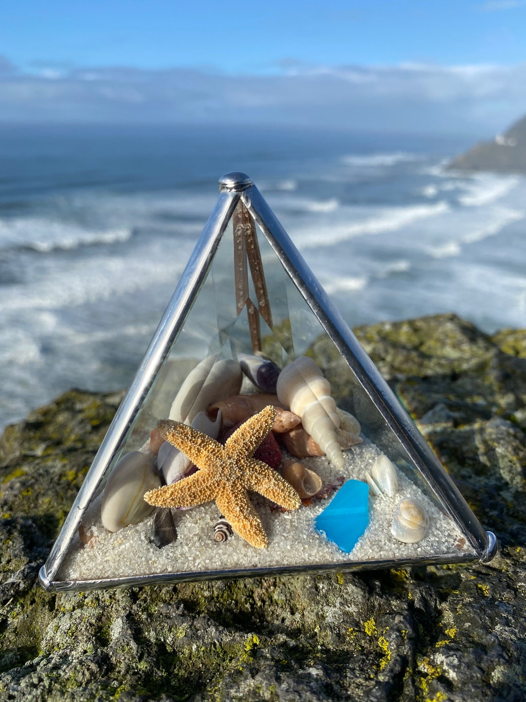 Seascape 4 Inch Triangle Ocean Office and Home Decor, Seashells ...