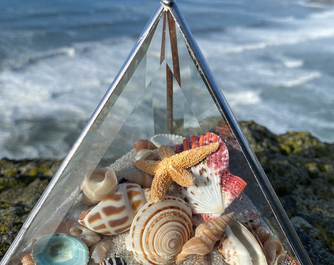 Seascape (5 Inch Triangle) Ocean Office and Home Decor, Seashells ...