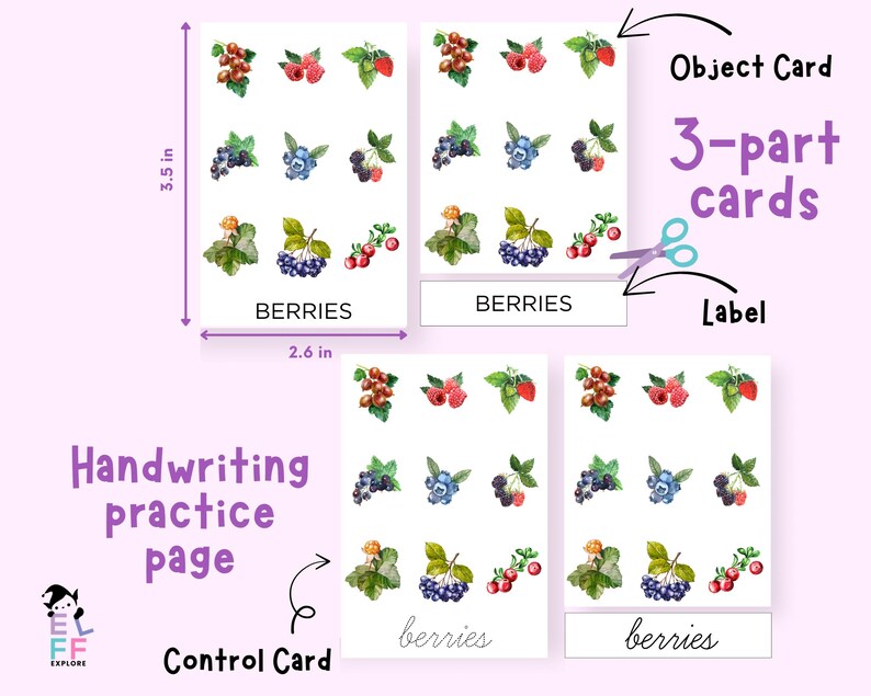 Fruit Vocabulary Cards Printable | Montessori 3-part Cards for ...