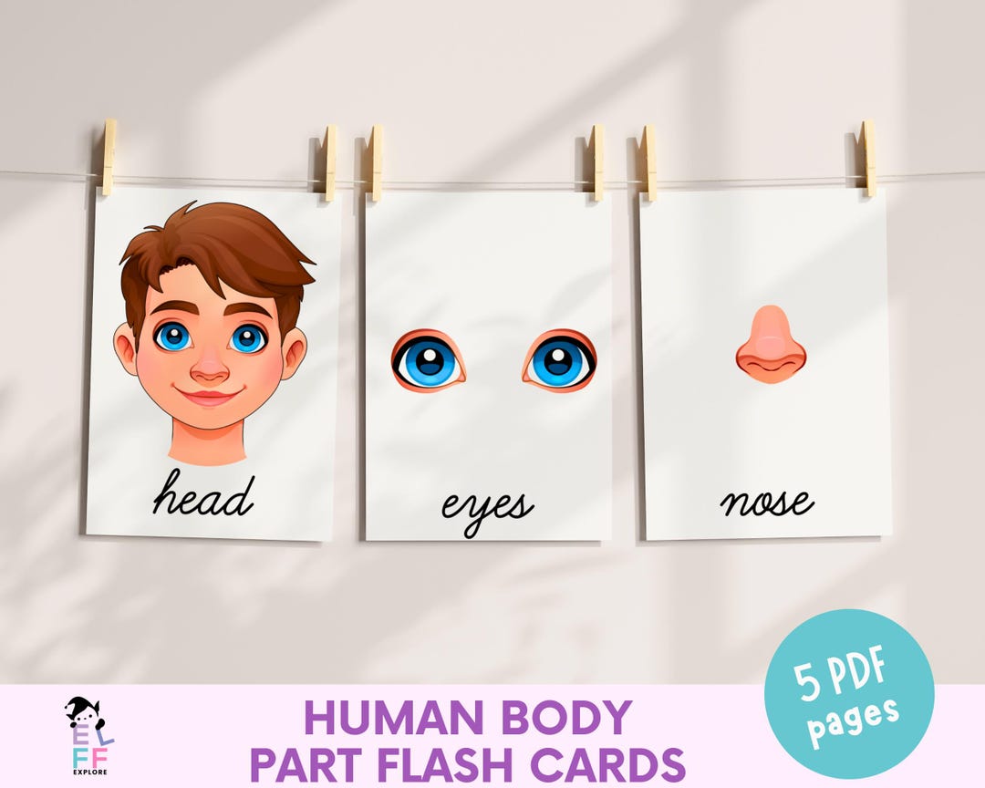 Body Parts Flashcards for Kids, Montessori Anatomy Cards (printable) - Etsy