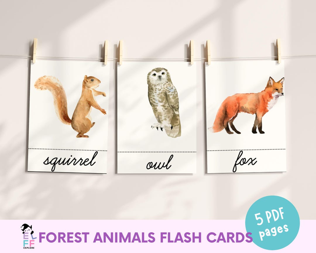 Forest Animal Flashcards: Montessori 3-part Cards (PDF Download - Etsy