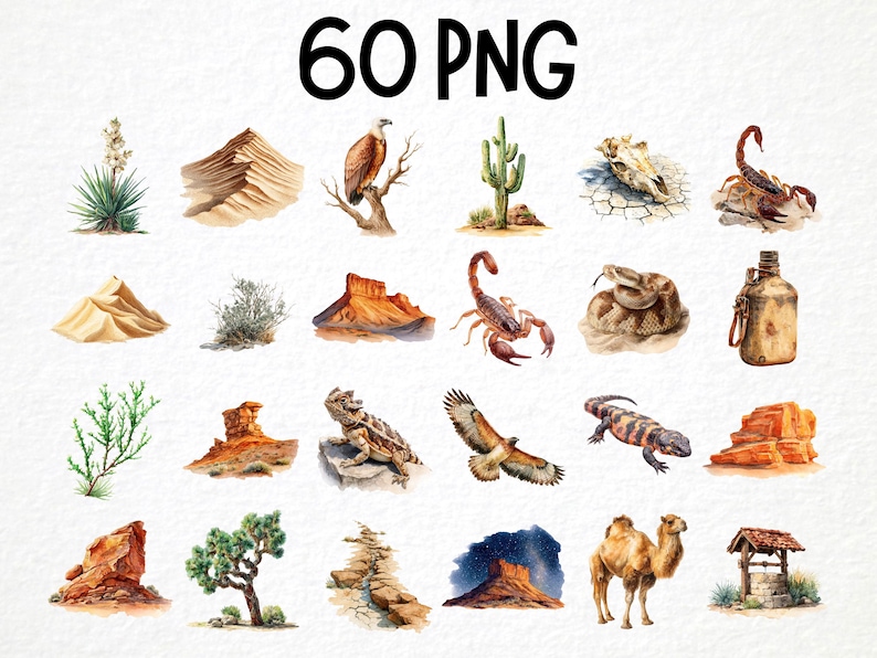 Desert Clipart Bundle 60 PNG, Watercolor Animals, Cactus, Plants, Skull ...