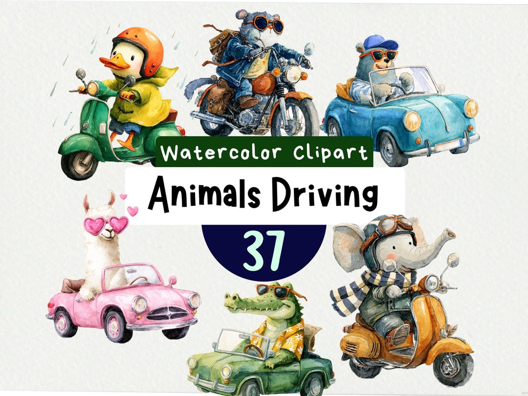 Animals Driving Watercolor Clipart, Nursery Adventure PNG (37 Files) - Etsy