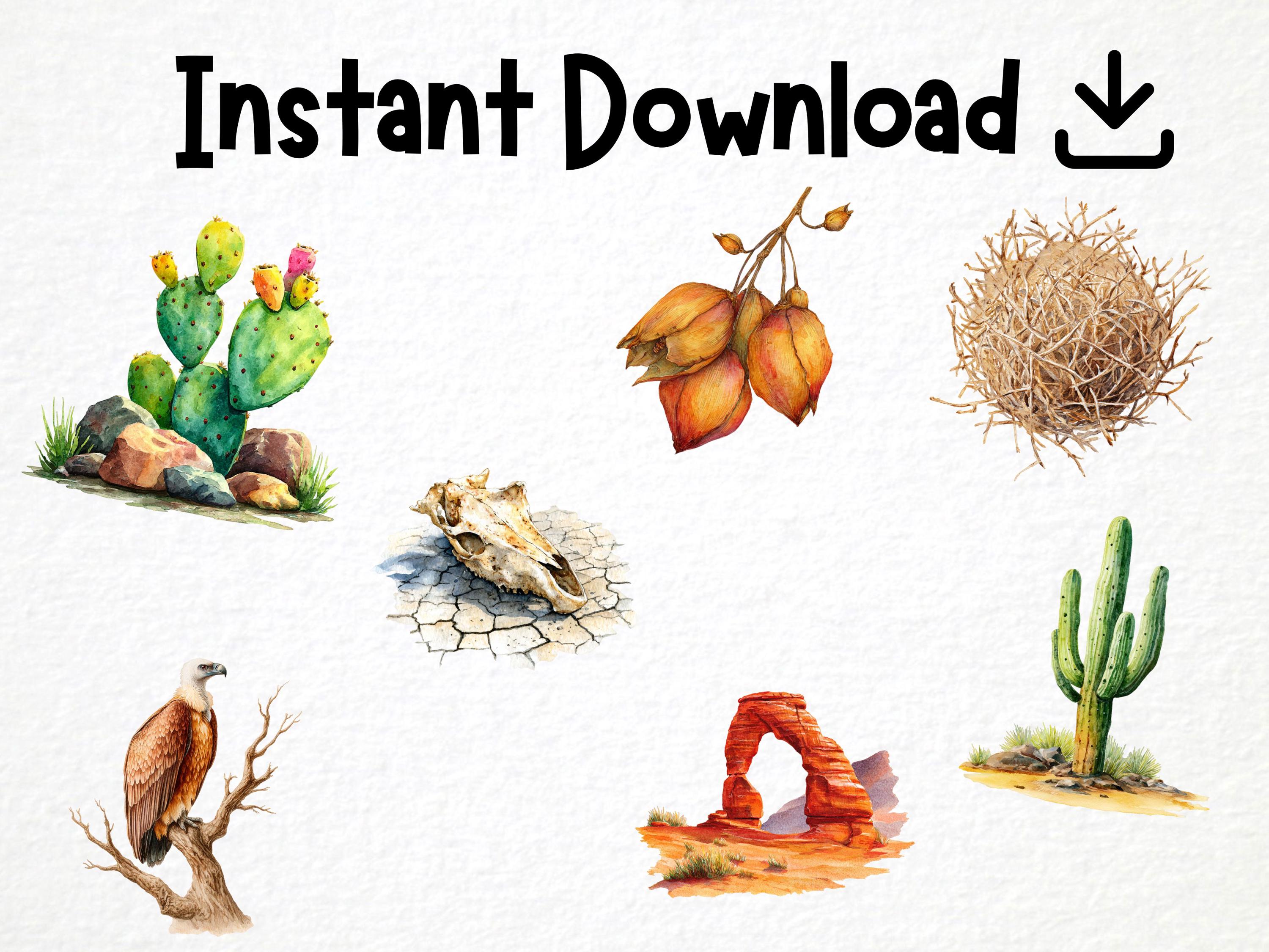 Desert Clipart Bundle 60 PNG, Watercolor Animals, Cactus, Plants, Skull ...