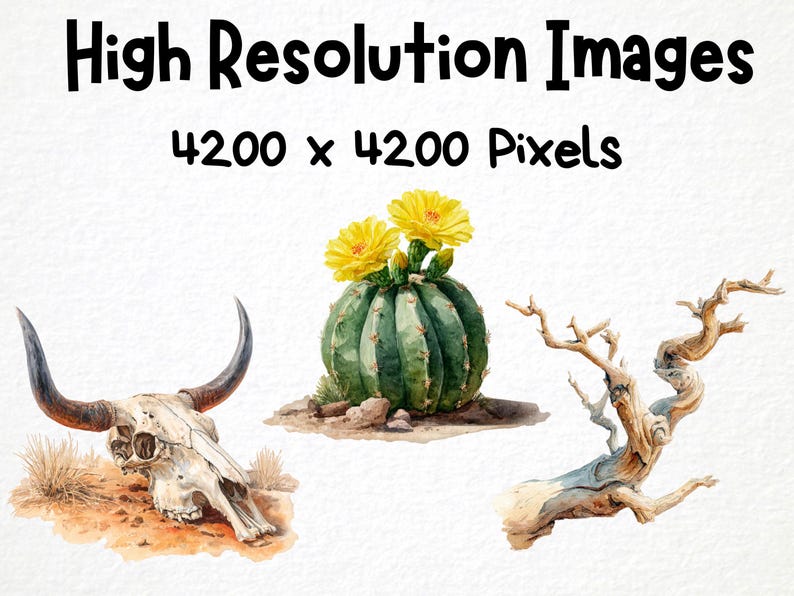 Desert Clipart Bundle 60 PNG, Watercolor Animals, Cactus, Plants, Skull ...