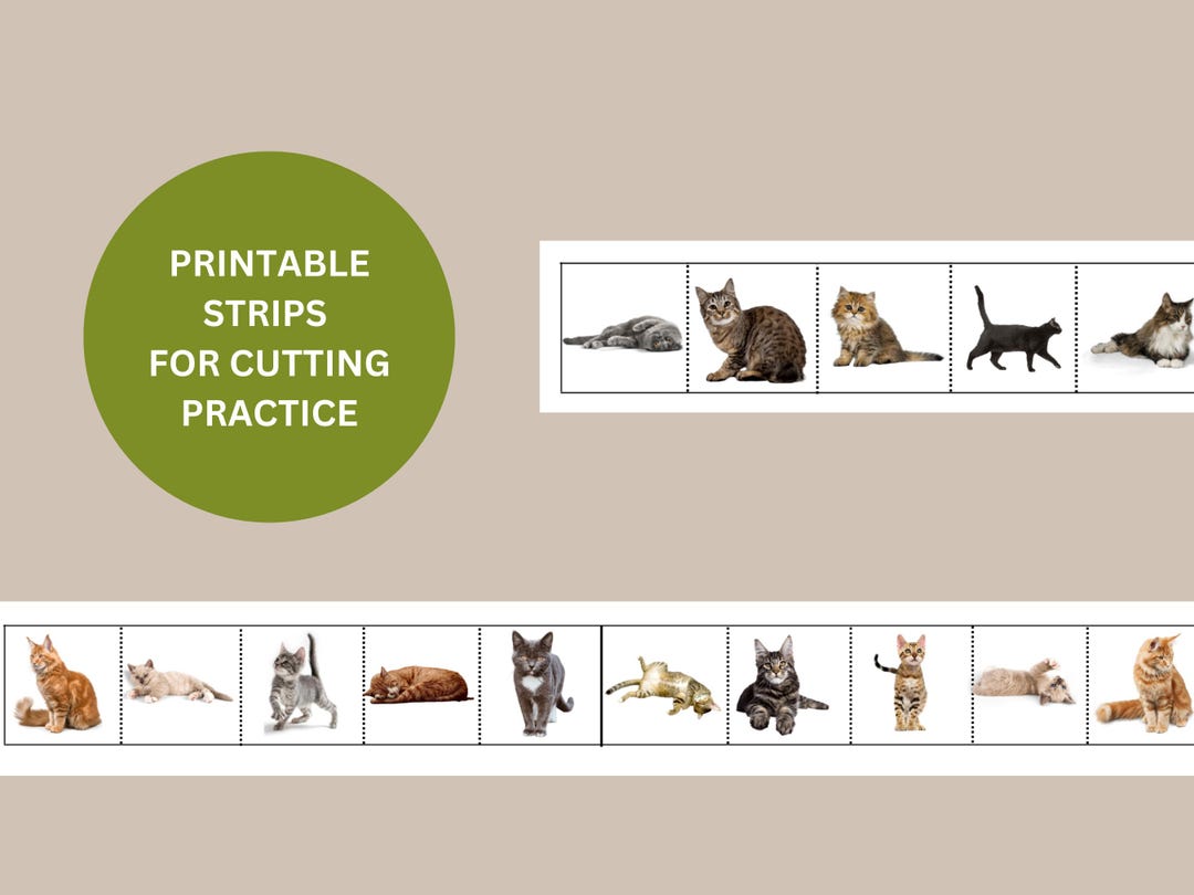 Printable Cutting Strips - Cats - Montessori Printable With Real ...