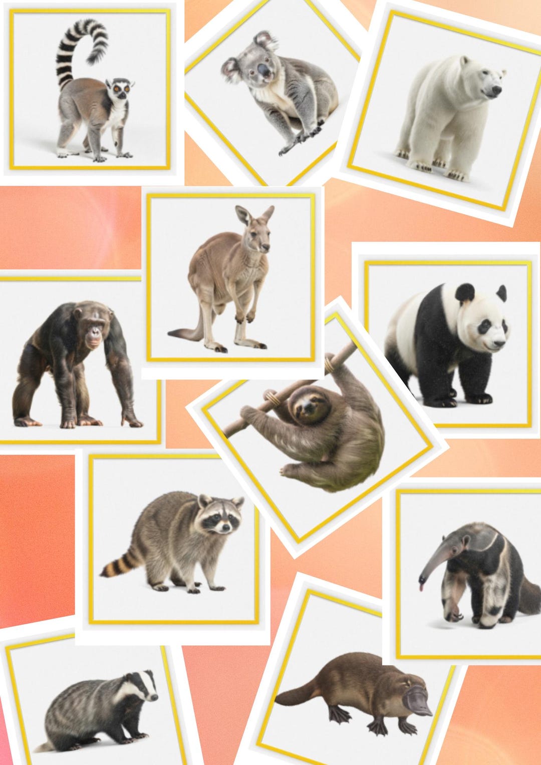 96 Animal Picture Cards for Preschool | Complete Set of Printable ...