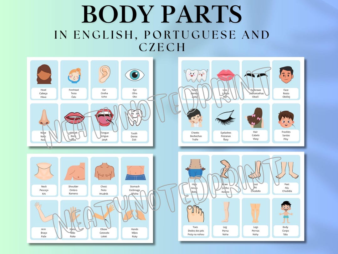 Printable Flashcards – English | Portuguese | Czech | Vocabulary ...