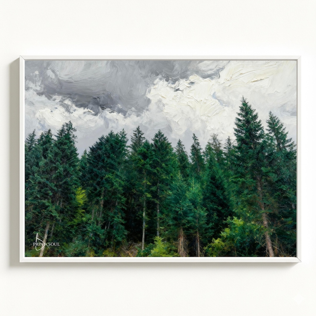 Balkan Mountain Forest Photography: Evergreen Tree Landscape, Dark ...