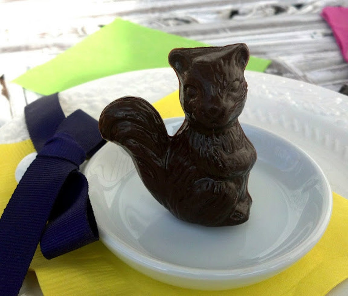 Chocolate 3D Cute Forrest Squirrel solid 3 Count - Etsy