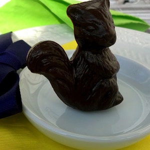 Chocolate 3D Cute Forrest Squirrel (solid) (3 Count ) - Etsy