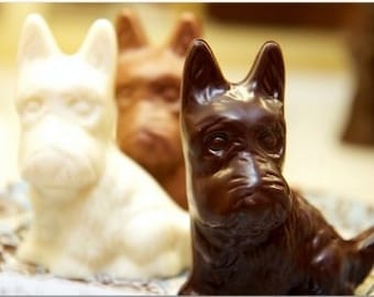 Vegan Chocolate Nuts and Chews - Etsy