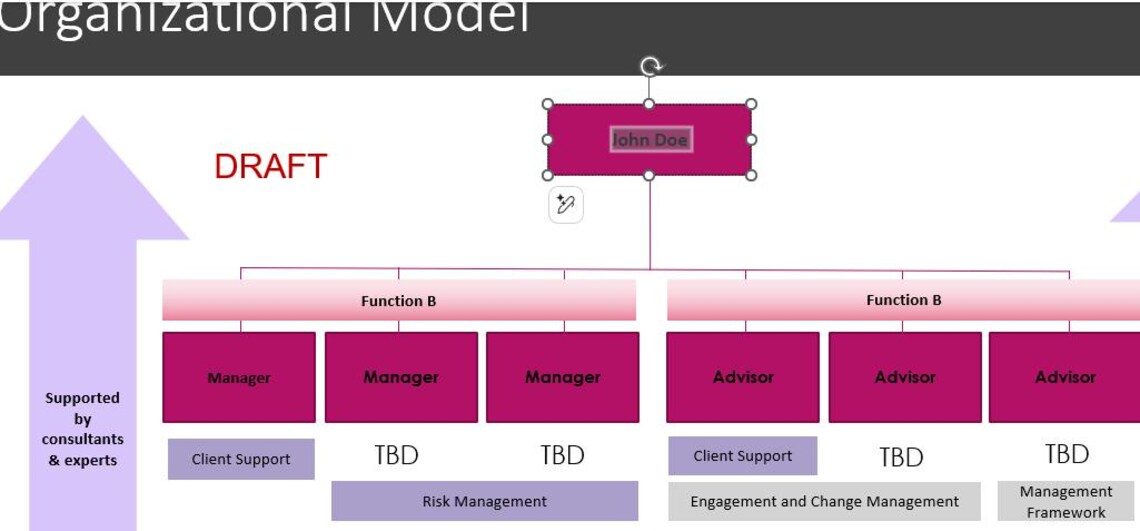 Organizational Model Template - Etsy